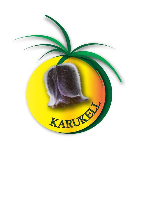 KARUKELL | Holstre Kool